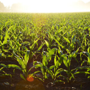 A Deep Water Revolution - FlexExtend submersible pump